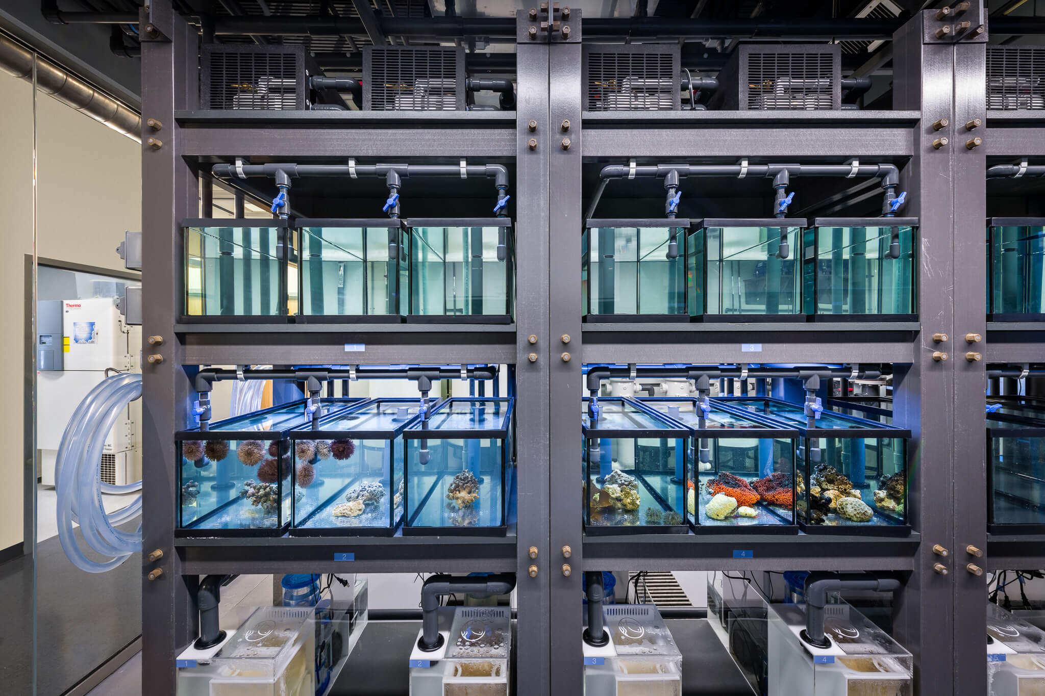 A World-Class Marine Biotechnology Hub Finds its Home in Gloucester ...